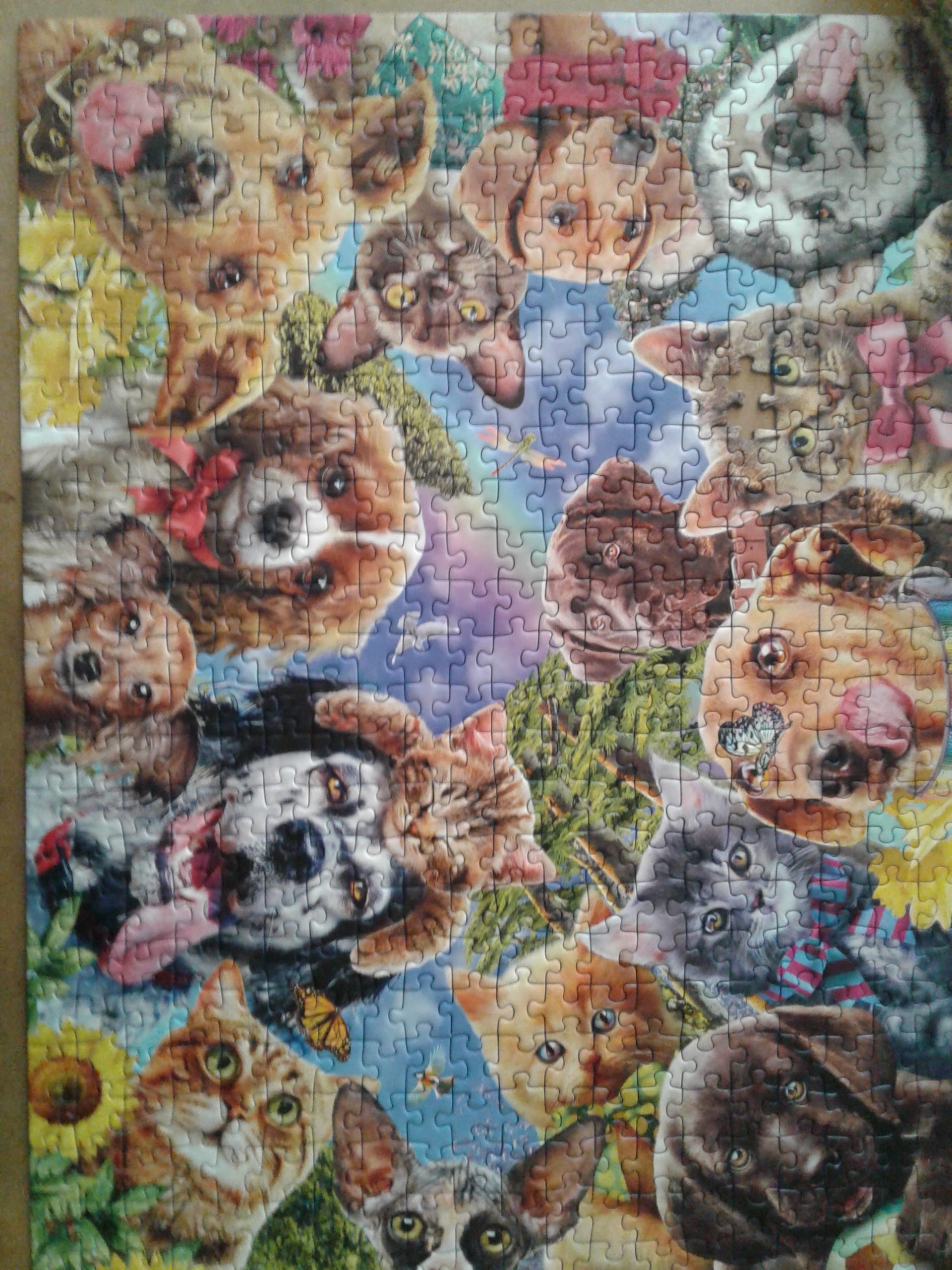 June McInerney, Phoenixville | Phoenixville Public Library